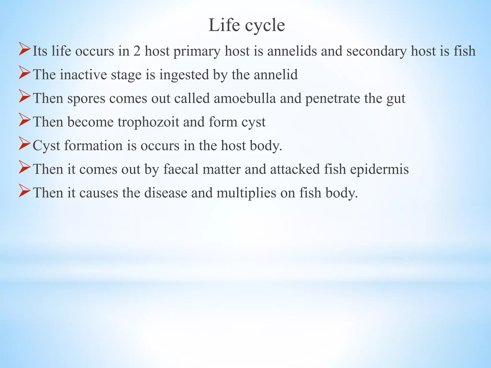 Trichordiasis | PPTX