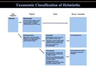 Trichuris+enterobius.ppt