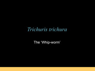 Trichuris+enterobius.ppt