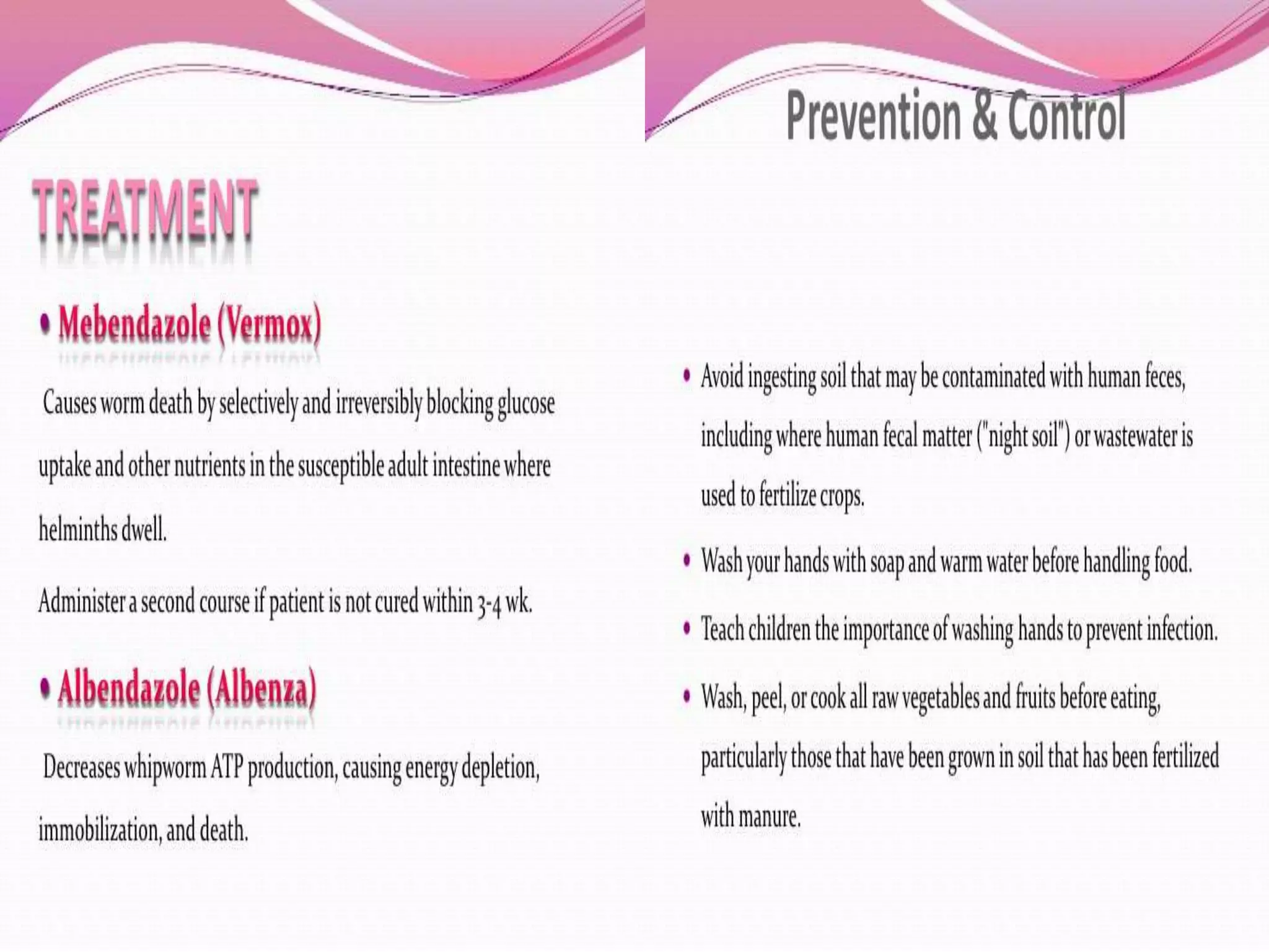 Trichuris trichiura | PPTX