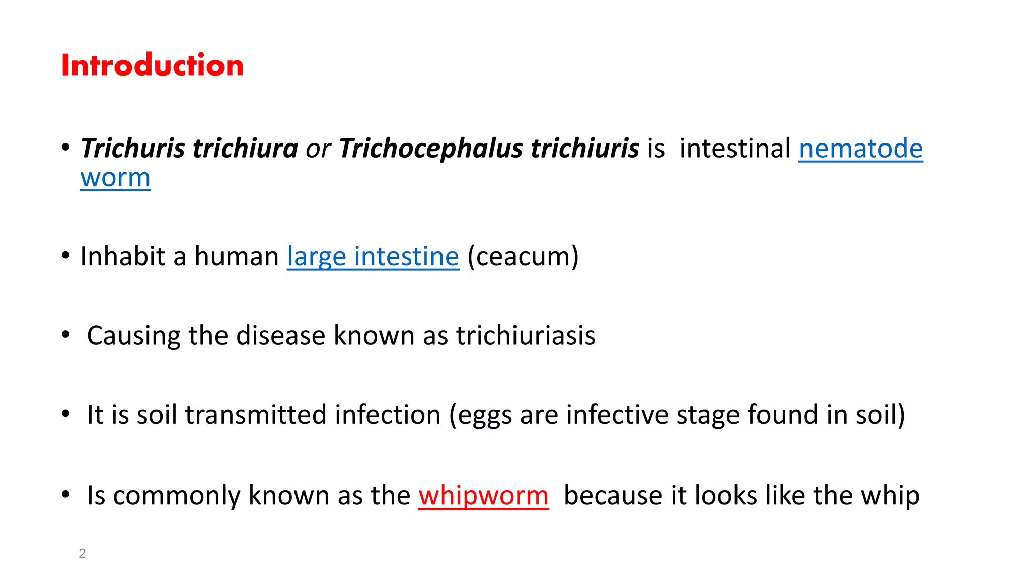 Trichuris trichiura | PPTX