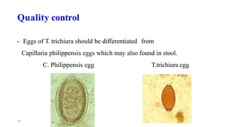 trichuristrichiura.pptx