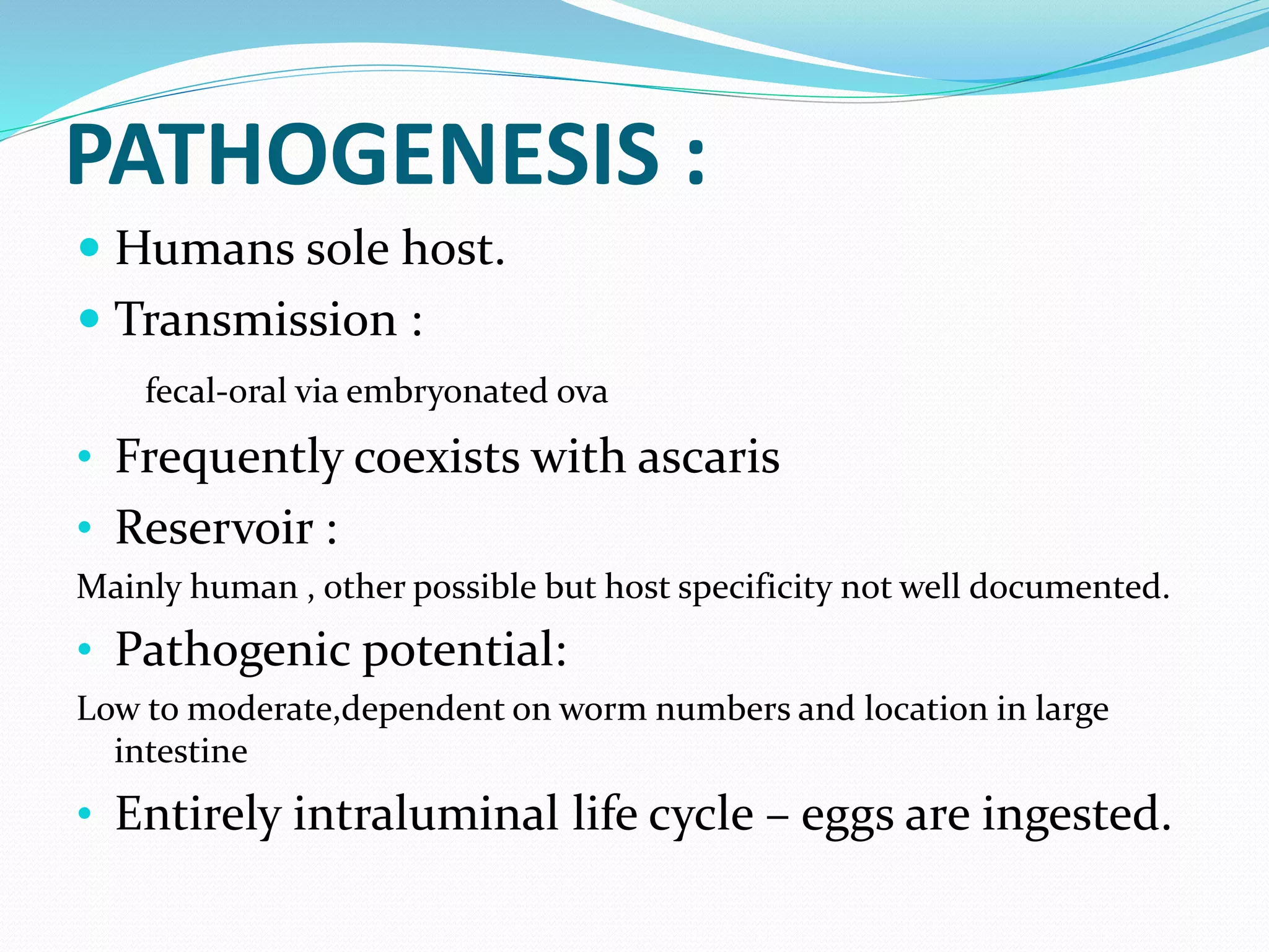 Trichuris trichura(whip-worm) | PPTX