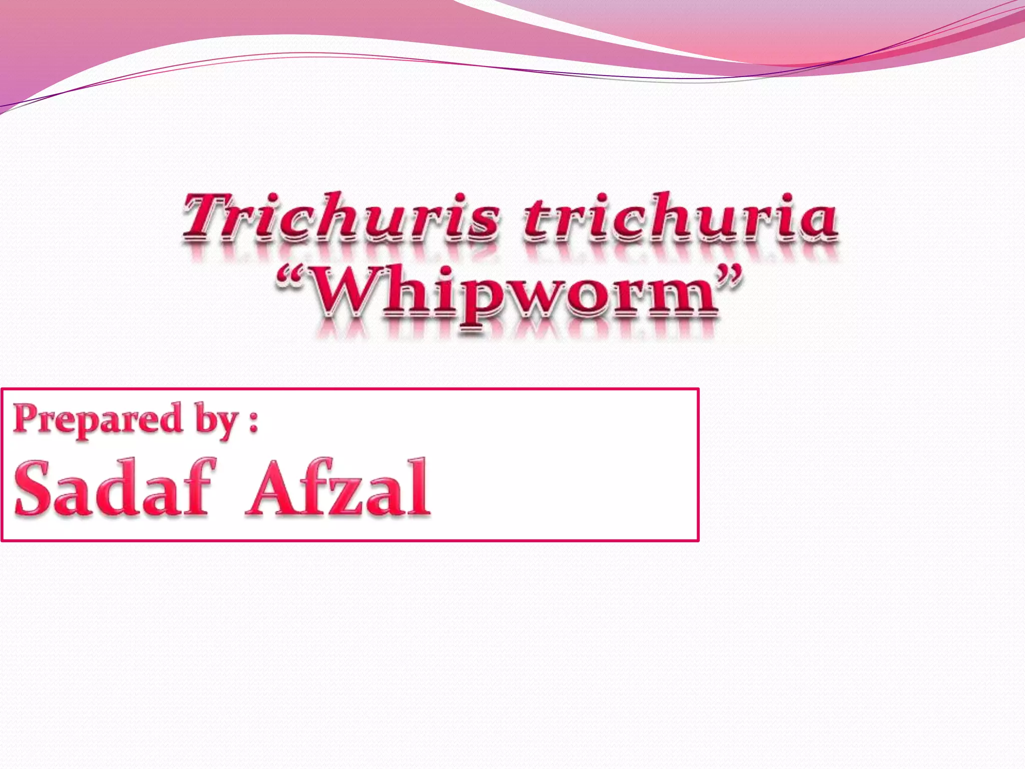 Trichuris trichuria | PPTX