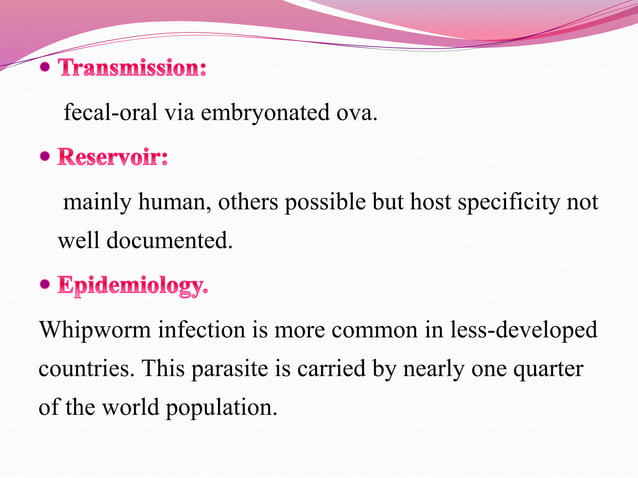 Trichuris trichuria | PPTX