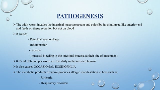 Trichuris trichuria | PPTX | Infectious Diseases | Diseases and Conditions