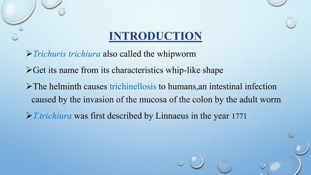 Trichuris trichuria | PPTX | Infectious Diseases | Diseases and Conditions