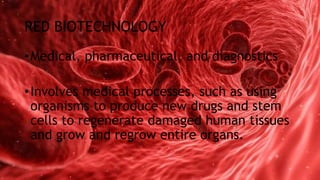 Areas of Biotechnology | PPTX