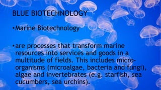Areas of Biotechnology | PPTX