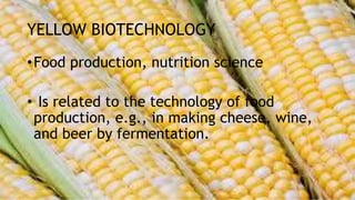 Areas of Biotechnology | PPTX