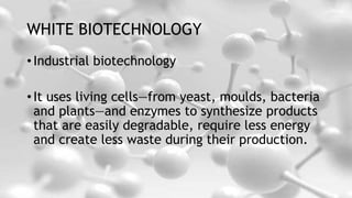 Areas of Biotechnology | PPTX