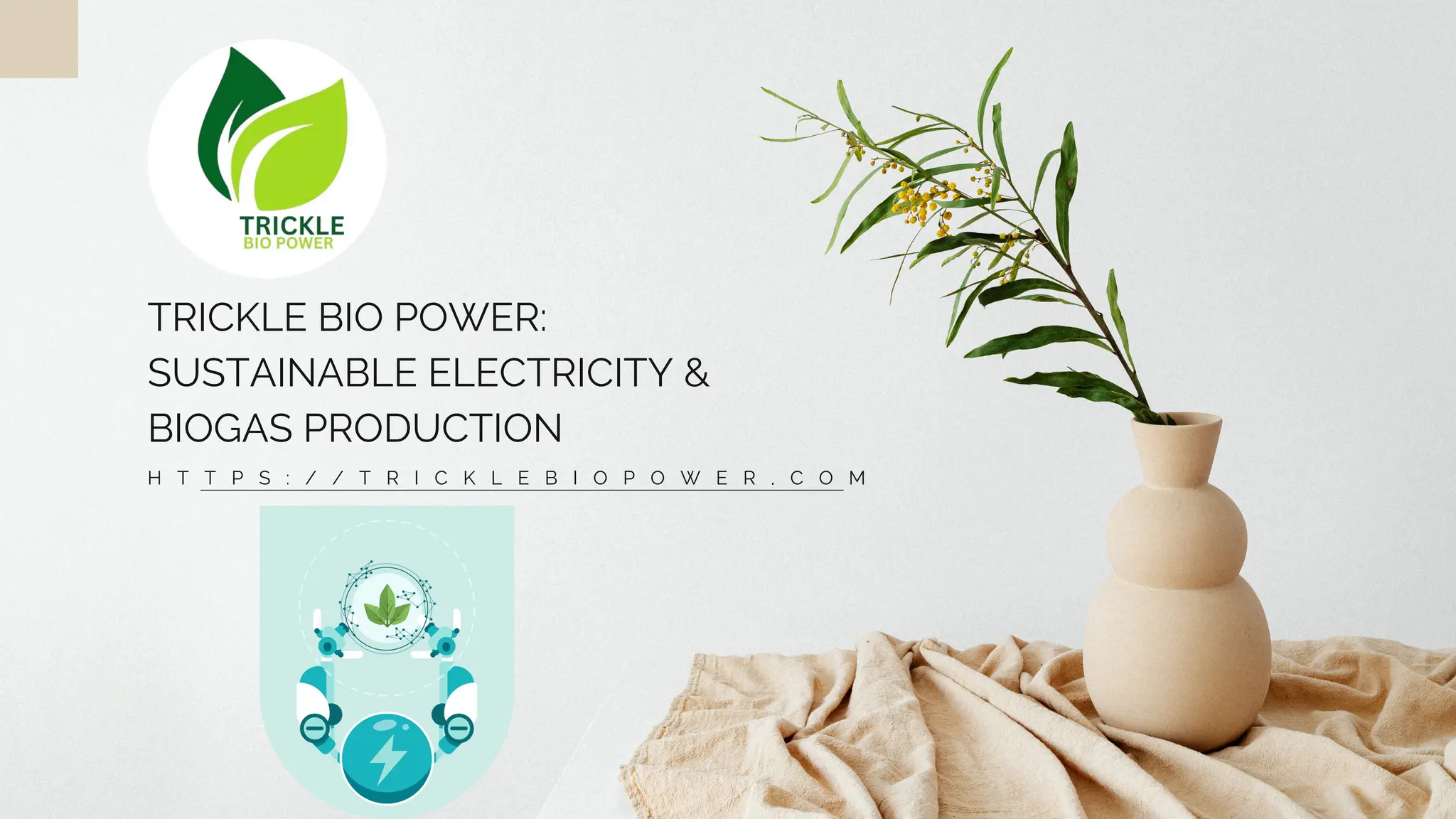 Trickle Bio Power Sustainable Electricity & Biogas Production.pdf