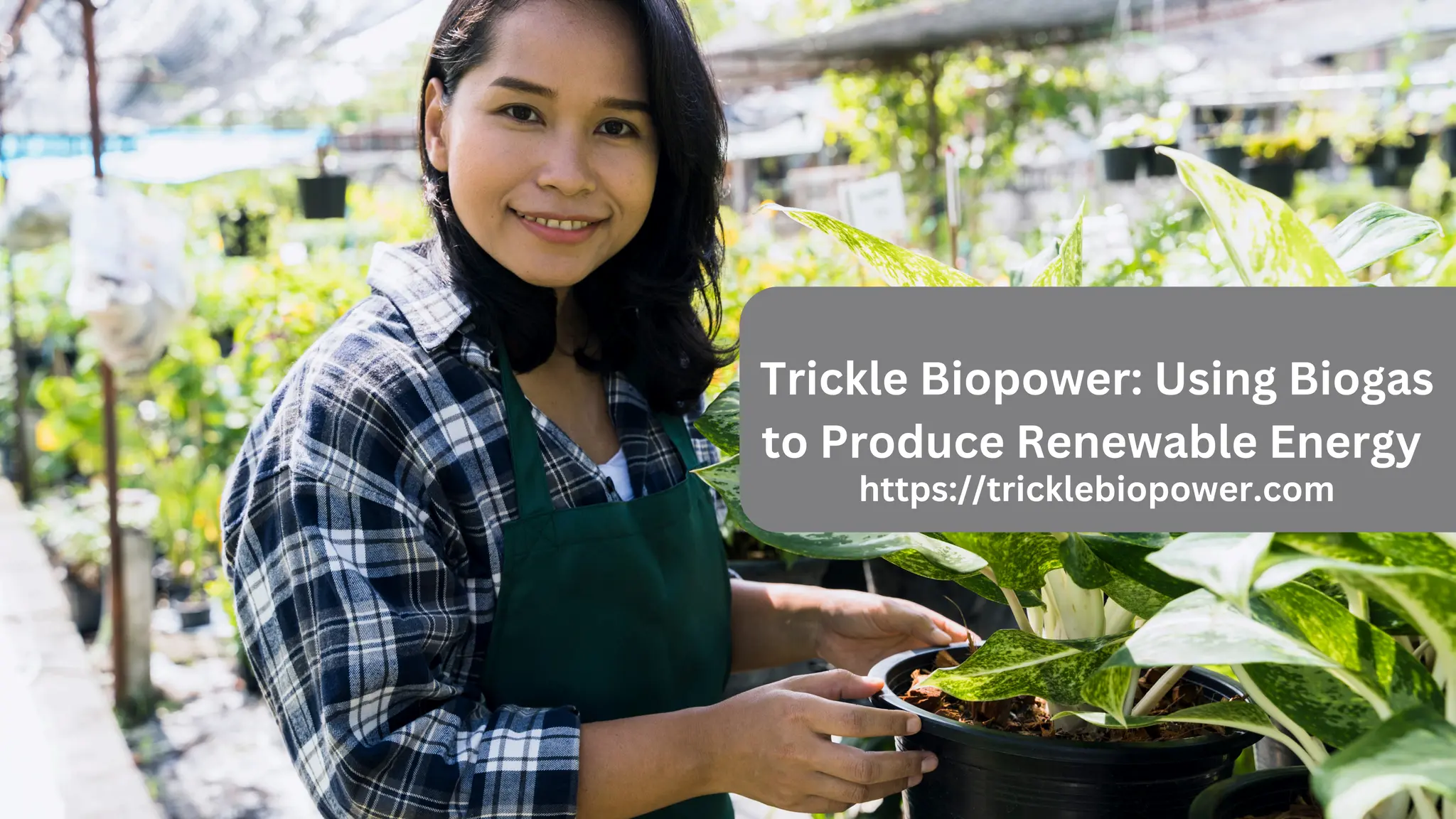 Trickle Biopower Using Biogas to Produce Renewable Energy (1).pdf