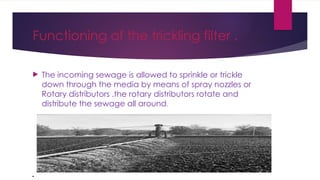 Features and working of Trickling Filter.pptx
