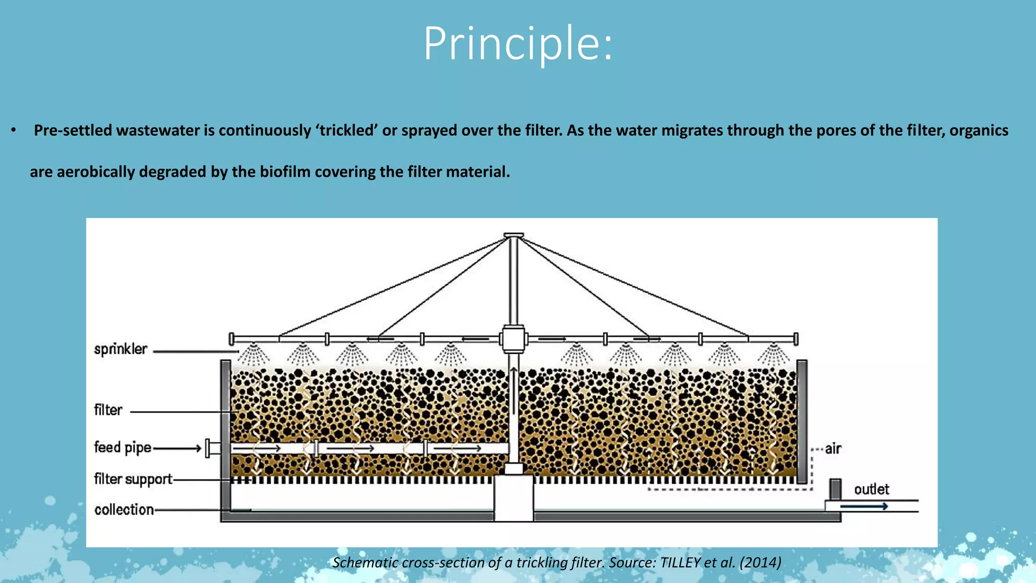Trickling Filter, Wastewater Treatment method | PDF