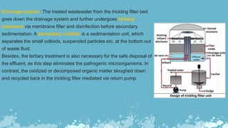 Trickling Filter, Wastewater Treatment method | PDF