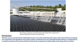 Trickling Filter, Wastewater Treatment method | PDF