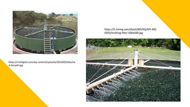Trickling Filter, Wastewater Treatment method | PDF