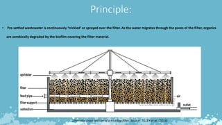 Trickling Filter, Wastewater Treatment method | PDF