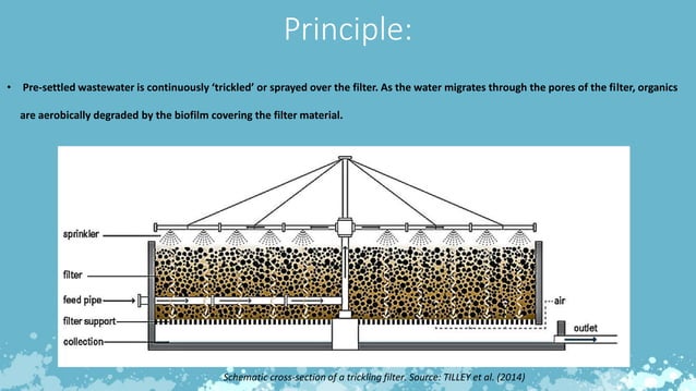 Trickling Filter, Wastewater Treatment method | PDF