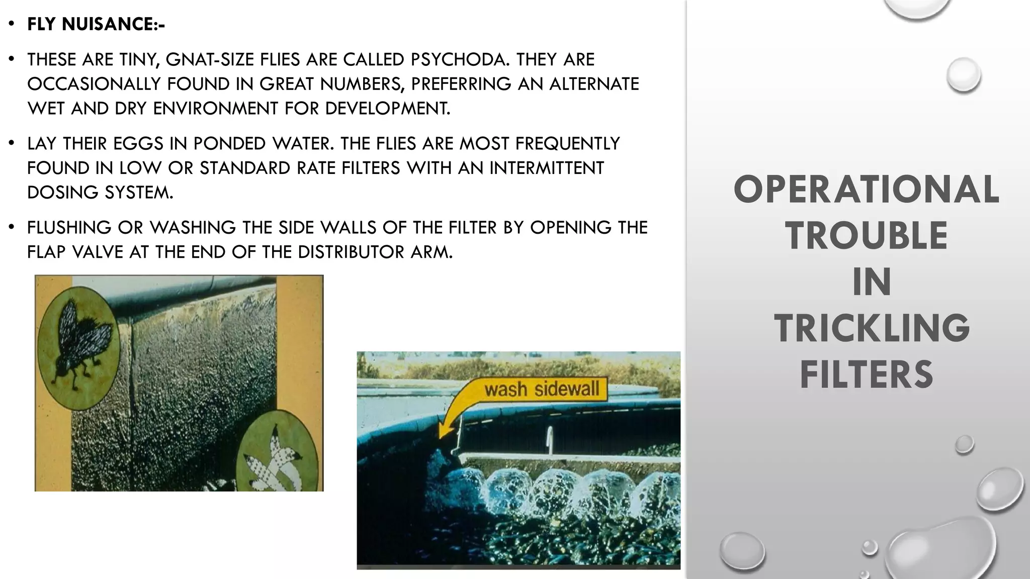 Trickling filter ppt | PDF