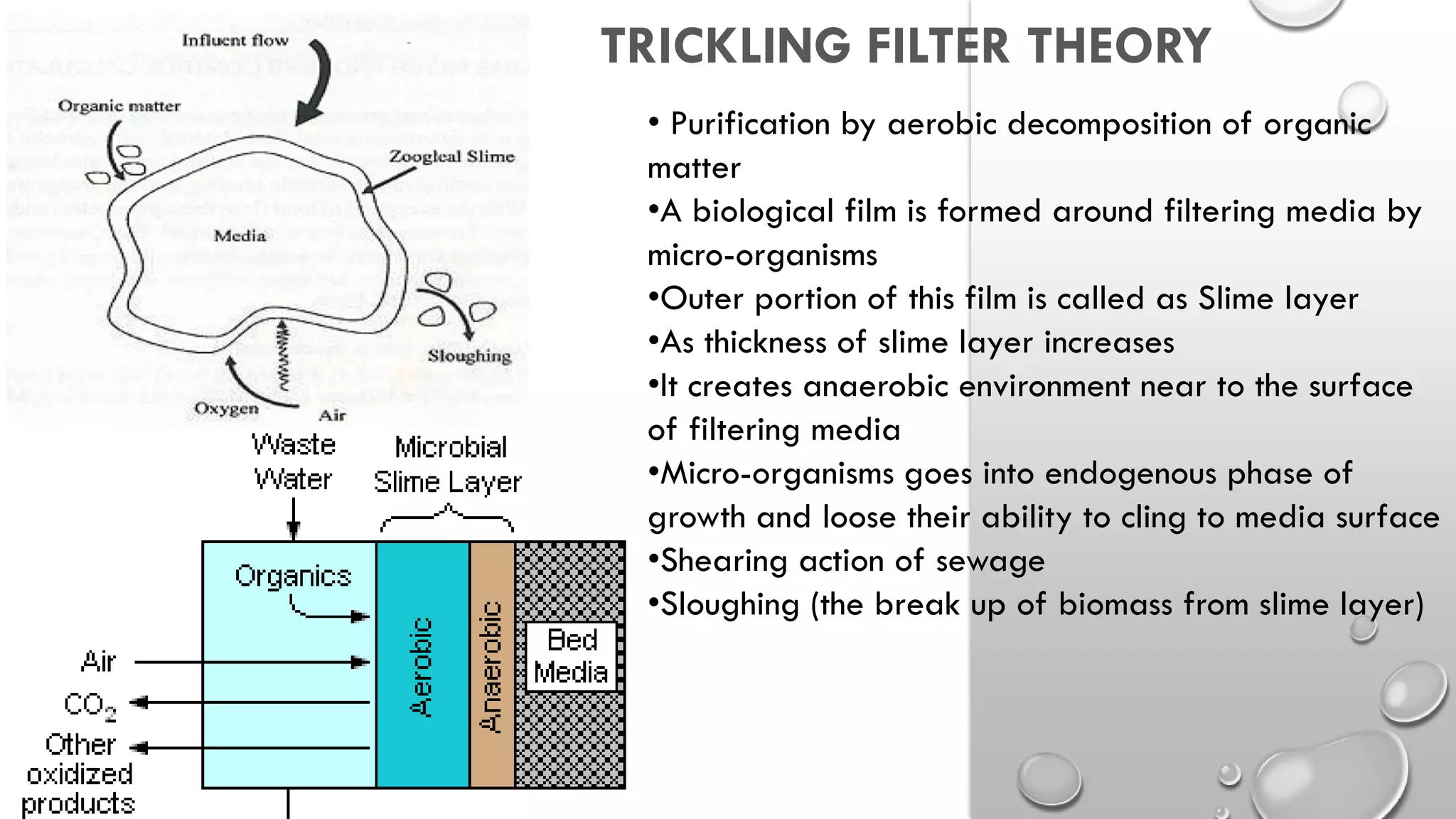 Trickling filter ppt | PDF