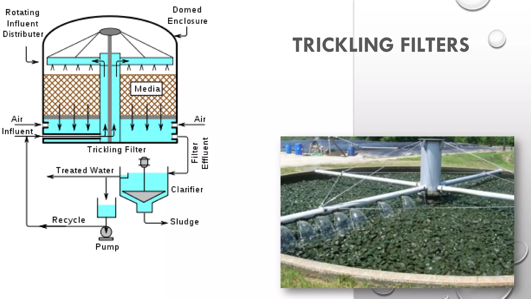 Trickling filter ppt | PDF