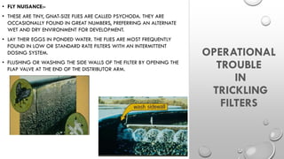 Trickling filter ppt | PDF
