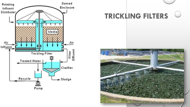 Trickling filter ppt | PDF | Indoor Environmental Quality | Home & Garden
