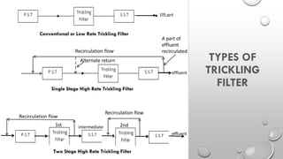 Trickling filter ppt | PDF