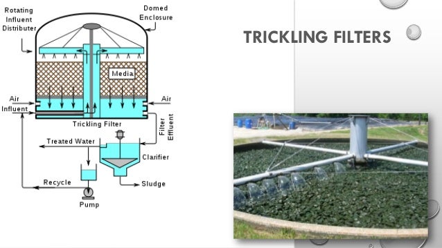 Trickling filter ppt