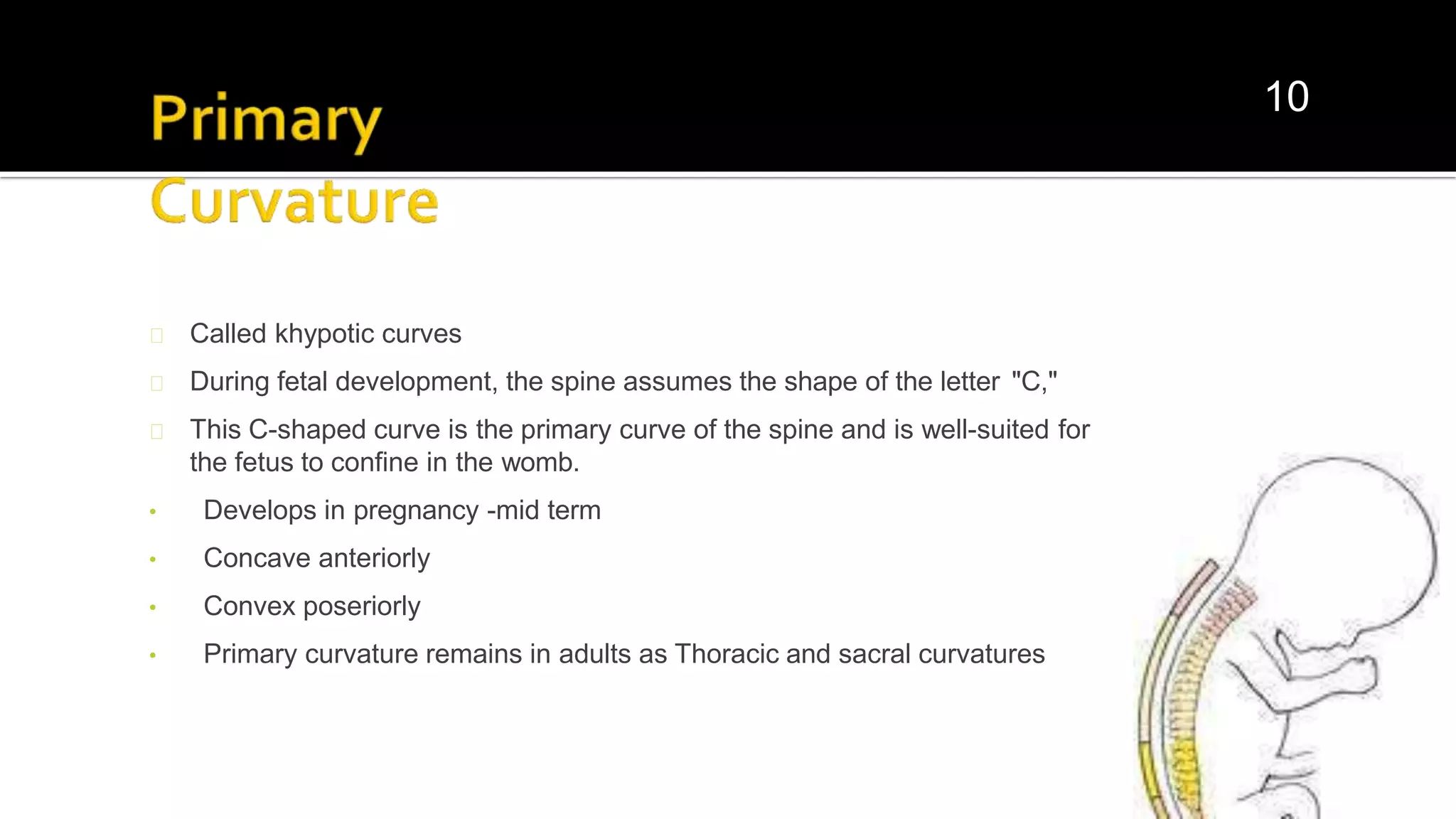 Trick movements of spine | PPT
