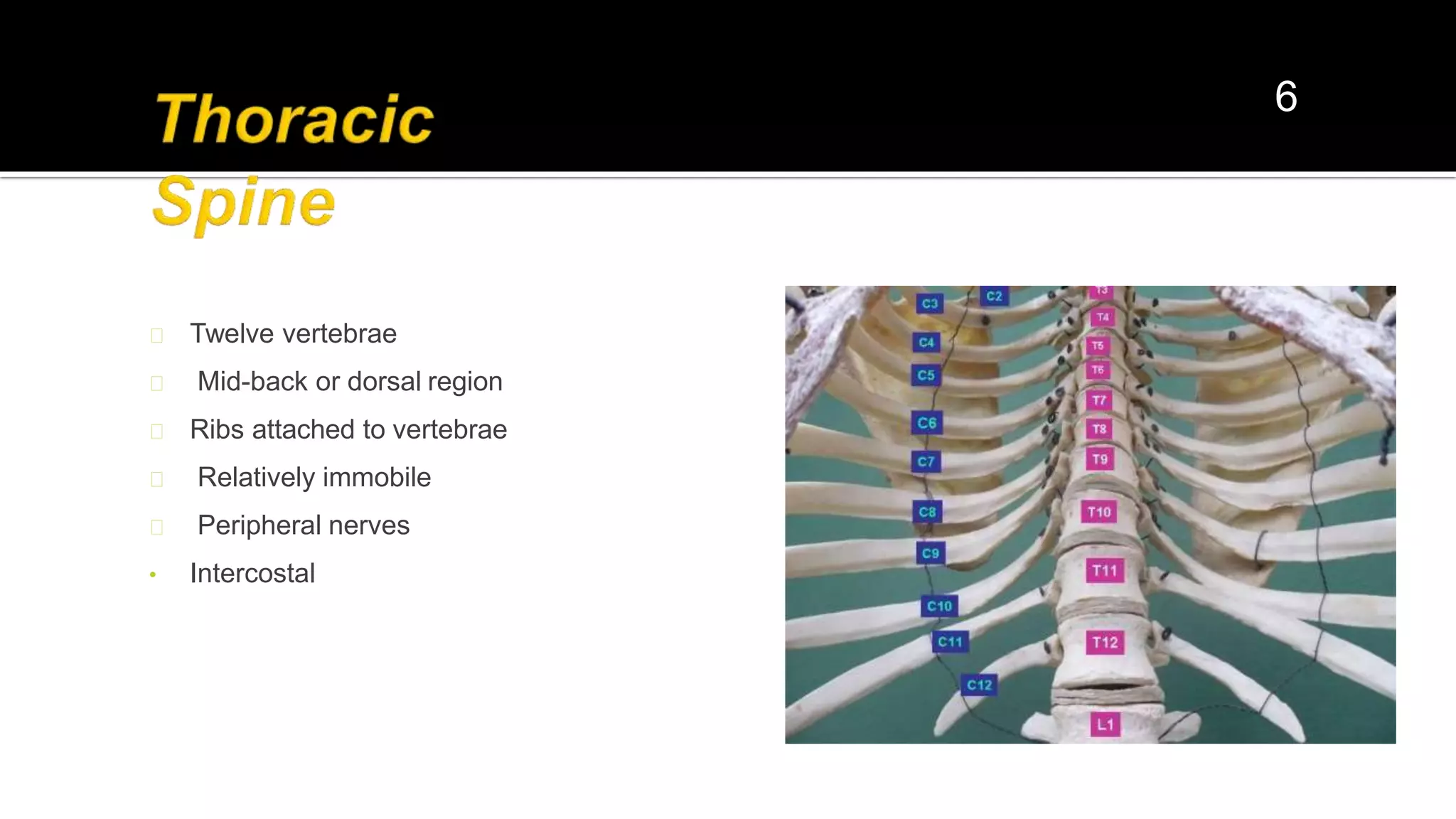 Trick movements of spine | PPT