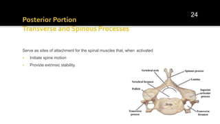 Trick movements of spine | PPT