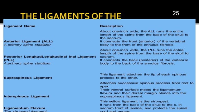 Trick movements of spine | PPT