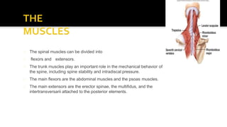 Trick movements of spine | PPT