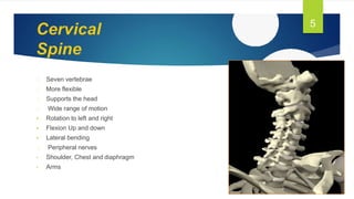 Trick movements of spine | PPTX