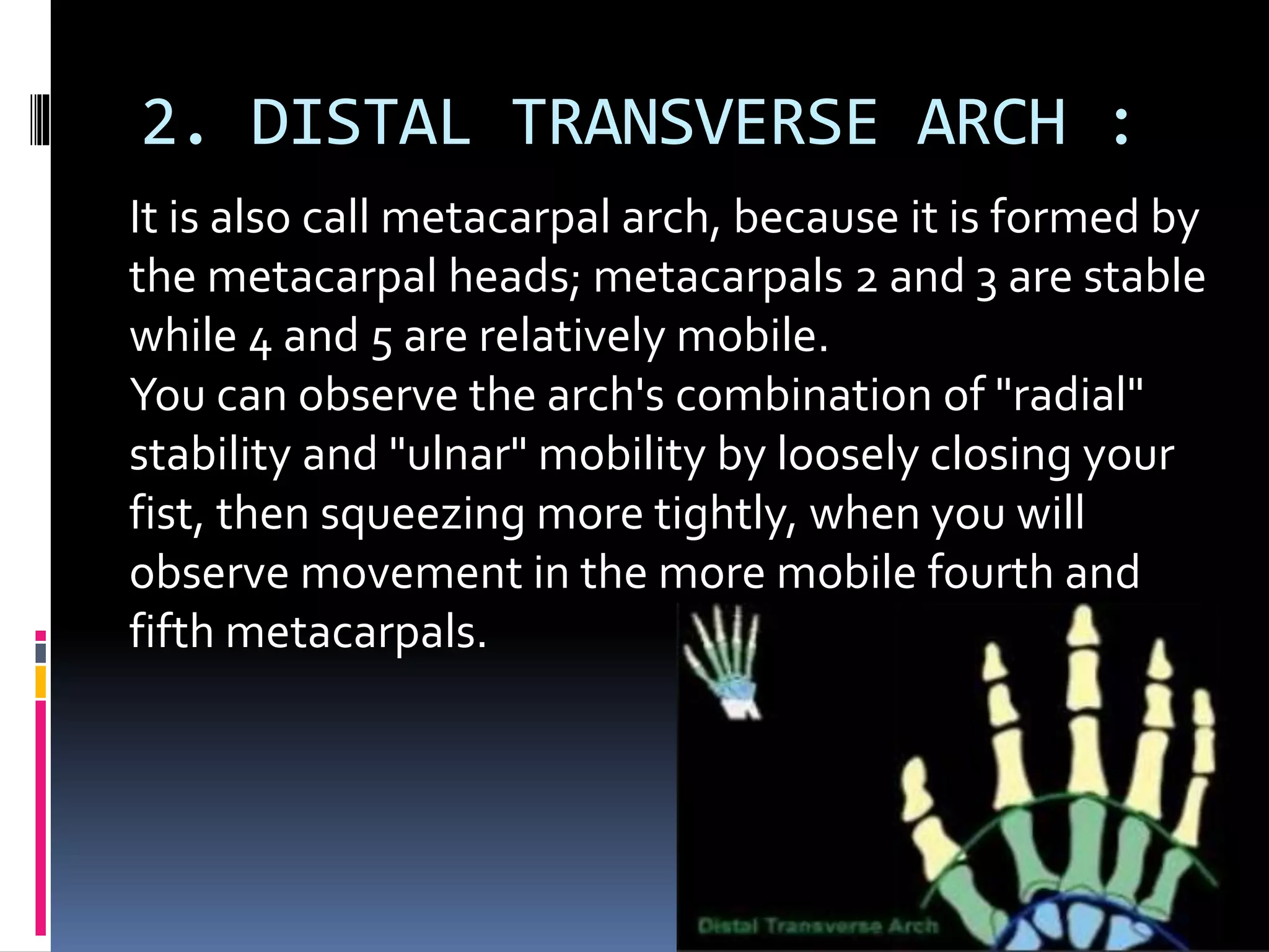 Trick movements of wrist & hand | PPTX