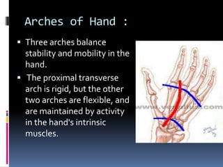Trick movements of wrist & hand | PPTX