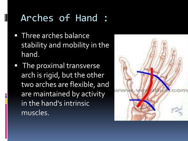 Trick movements of wrist & hand | PPTX | Death, Injury, or Military ...