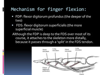 Trick movements of wrist & hand | PPTX