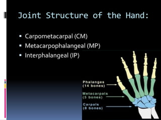 Trick movements of wrist & hand | PPTX