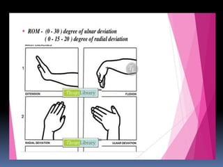 Trick movements of wrist joint | PPT
