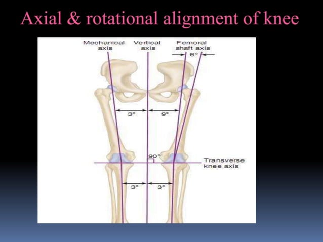 Trick movemets of knee joint | PPT