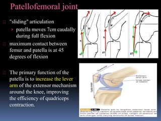 Trick movemets of knee joint | PPT