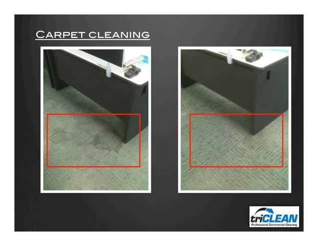 Triclean Before & After Photos | PPT