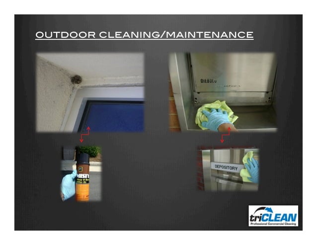 Triclean Before & After Photos | PPT