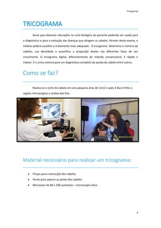 Ciclo De Vida Do Tricograma Tricograma