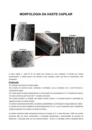 TRICOLOGIA FICHA DE ANAMNESE | DOC