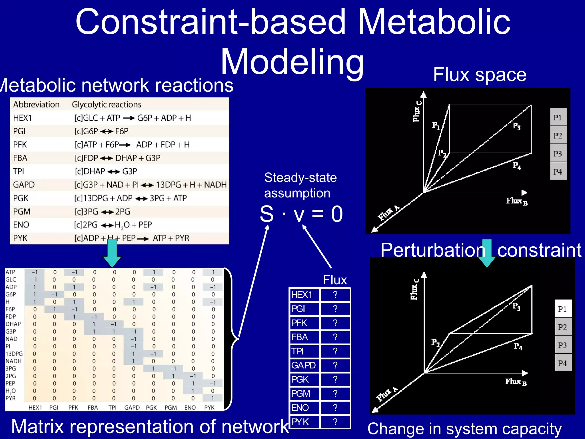 Network Pharmacology Tri-Con 022212 | PPT